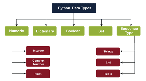 NCERT Solutions for Class 11 Computer Science (Python) – Getting ...